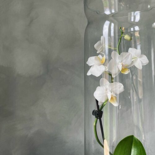 KEIM Colourwash - Keim Paint Shop